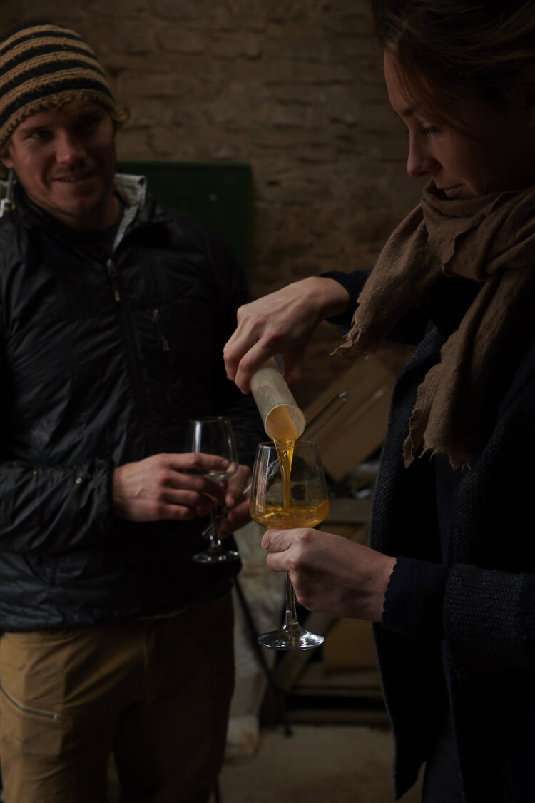 Spotlight on Find & Foster Ciders | All Things Drinks